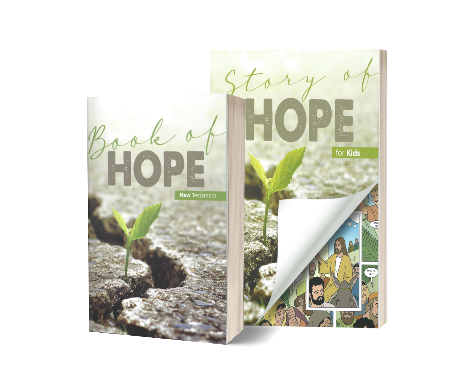 Home | Bible Mission International